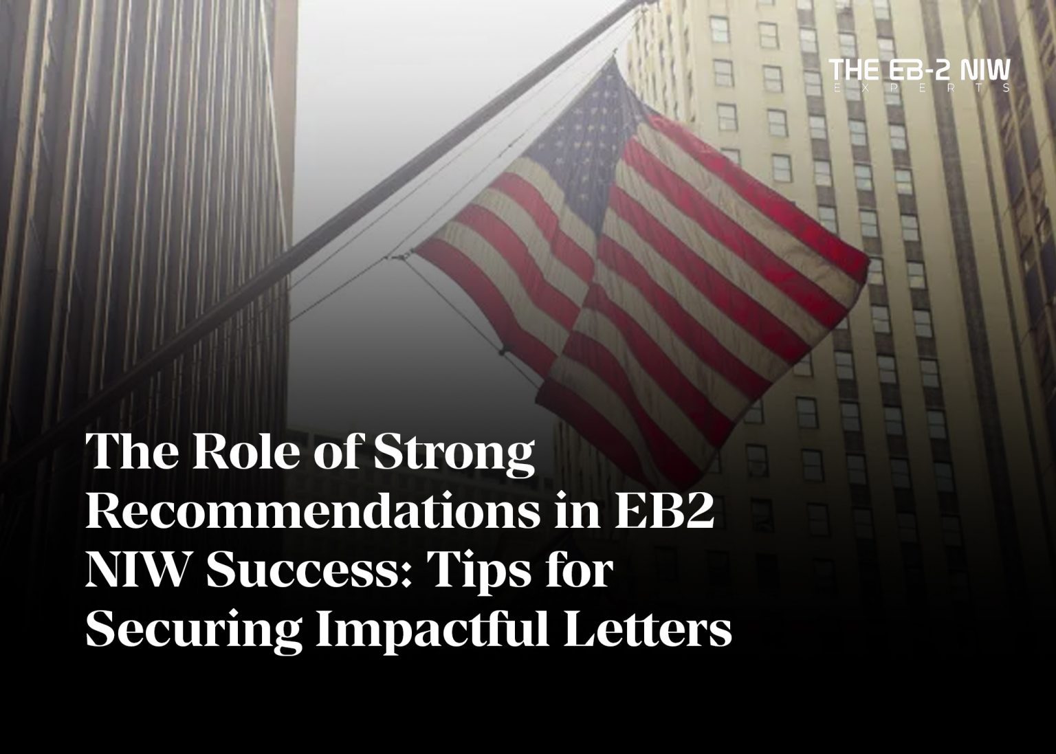 The Role of Strong Recommendations in EB2 NIW Success.....